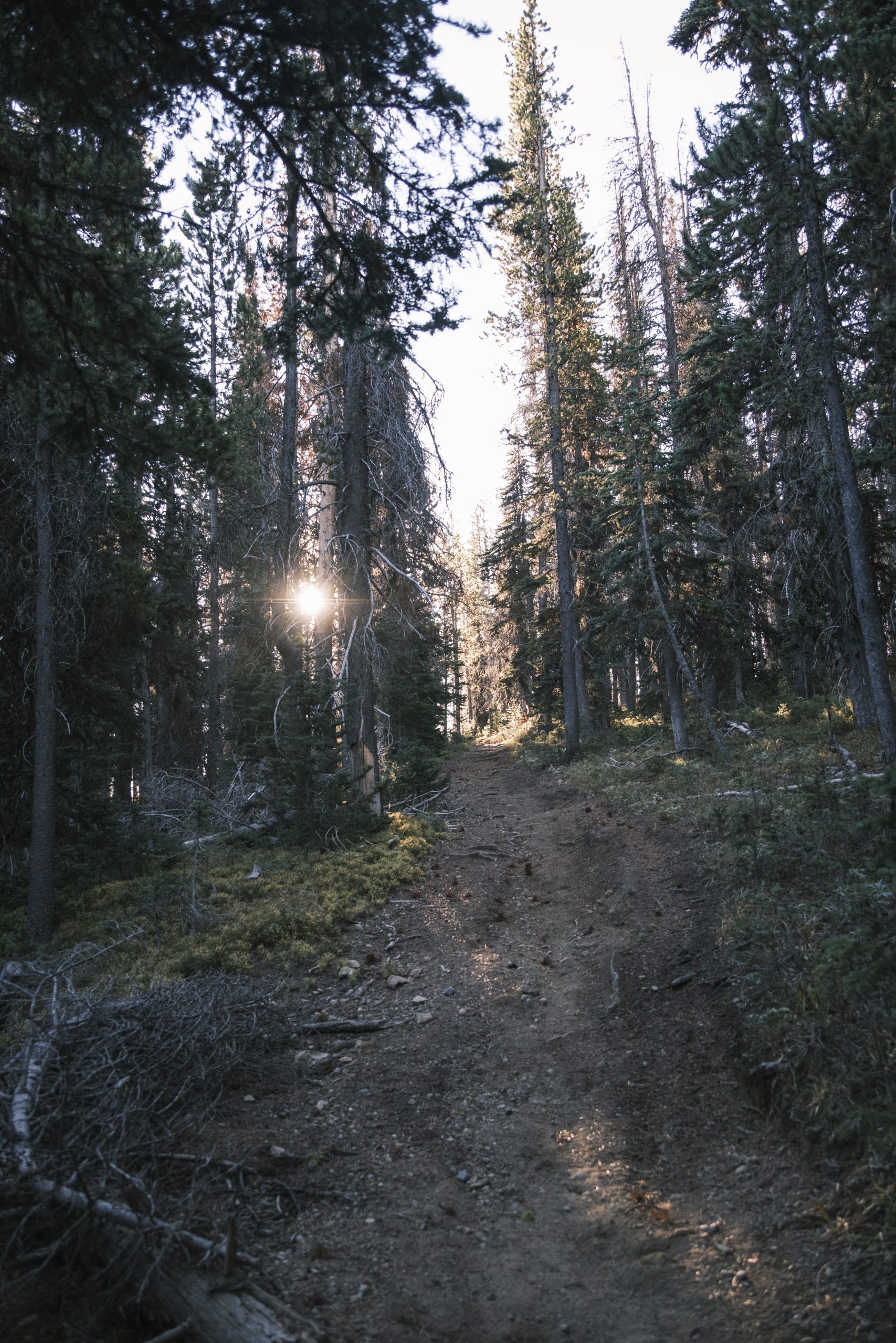 Devil's Gulch - Evergreen Trail Runs