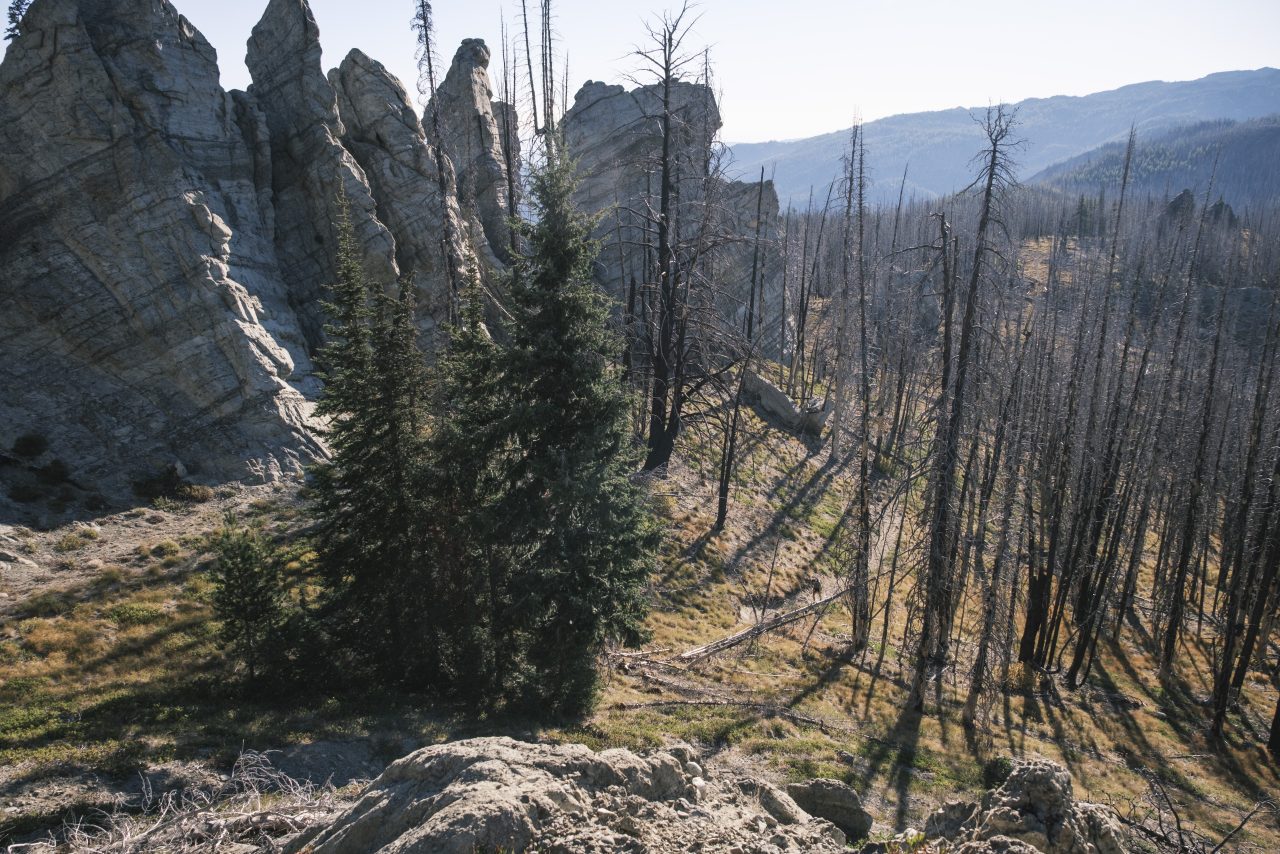 Devil's Gulch - Evergreen Trail Runs