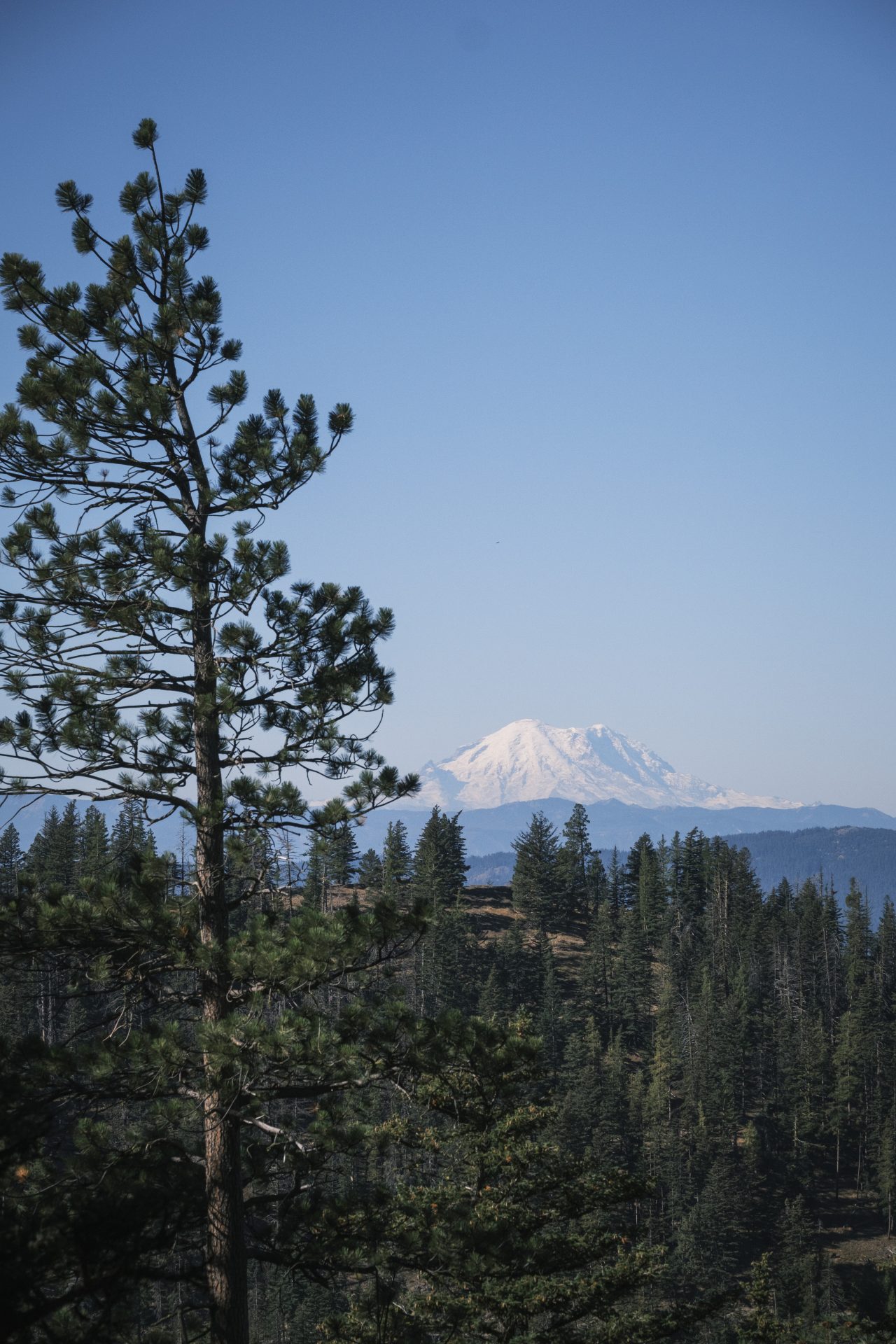 Devil's Gulch - Evergreen Trail Runs