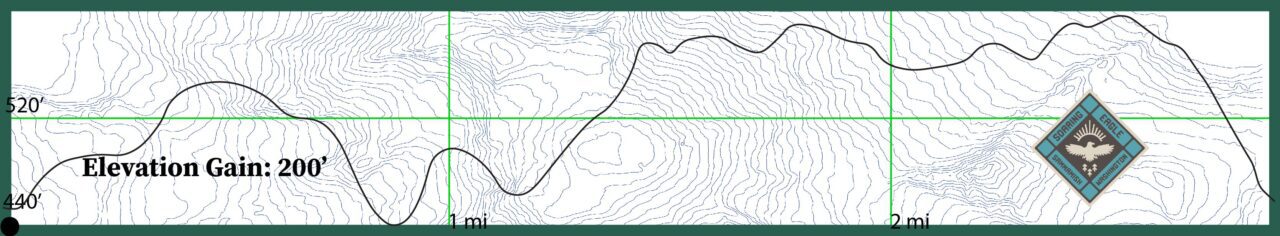 Soaring Eagle - Evergreen Trail Runs