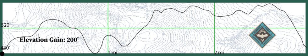 Soaring Eagle - Evergreen Trail Runs