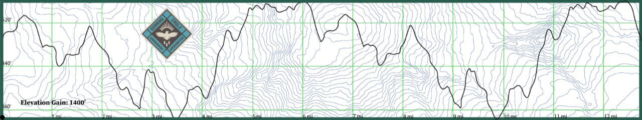 Soaring Eagle - Evergreen Trail Runs