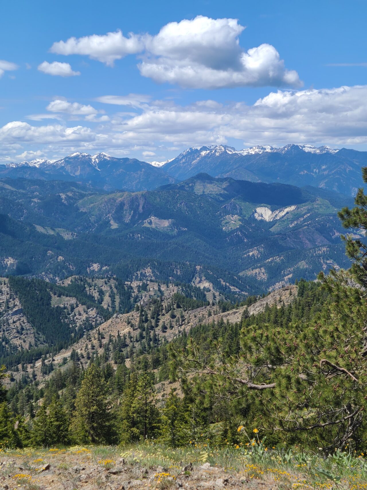 Devil's Gulch - Evergreen Trail Runs