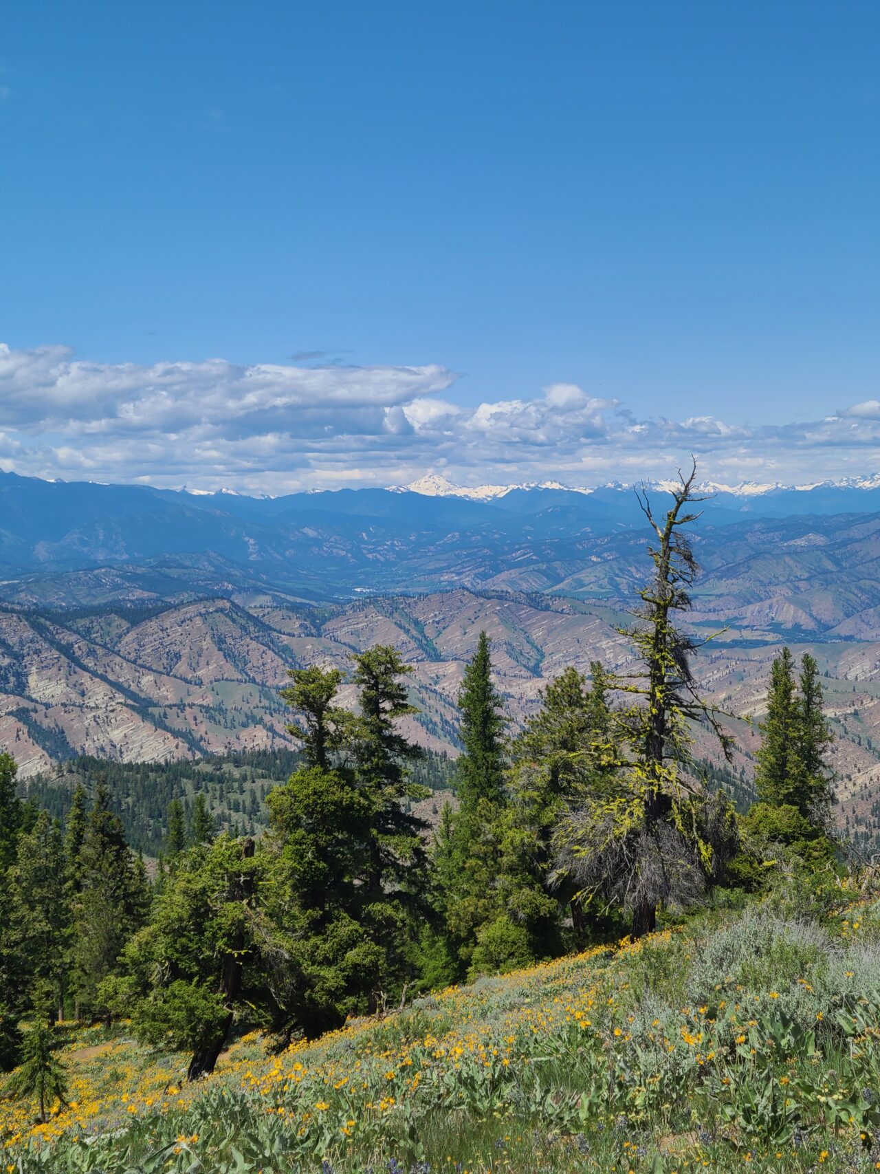 Devil's Gulch - Evergreen Trail Runs