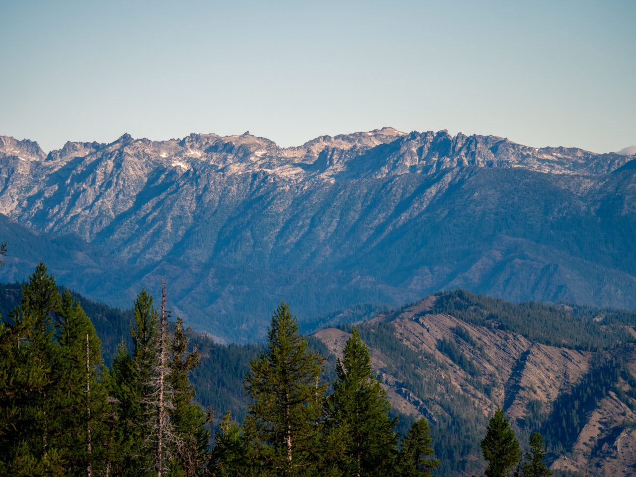 Devil's Gulch - Evergreen Trail Runs